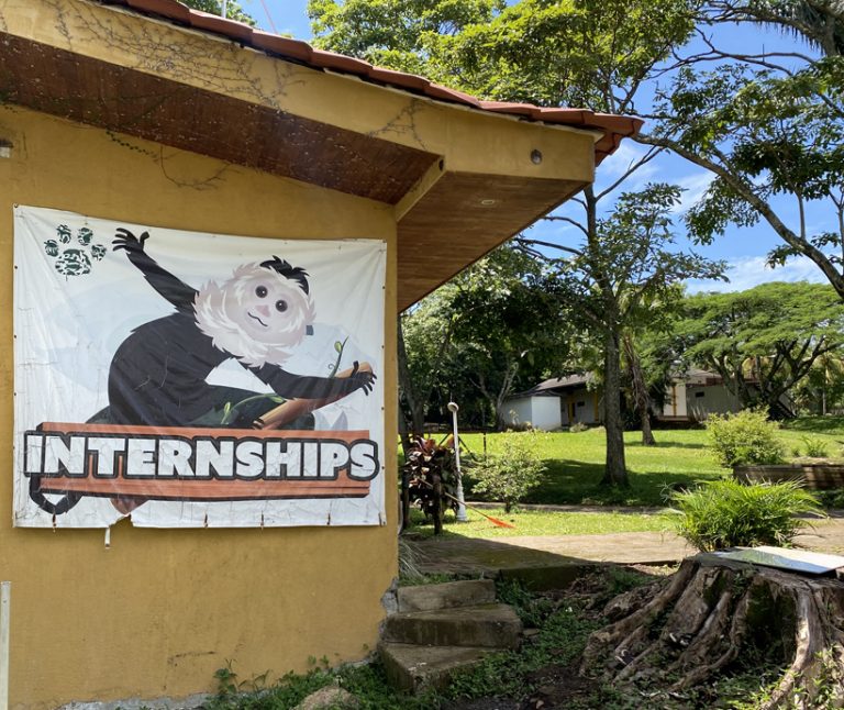 Rescue Center Costa Rica en butterfly farm in Guacima