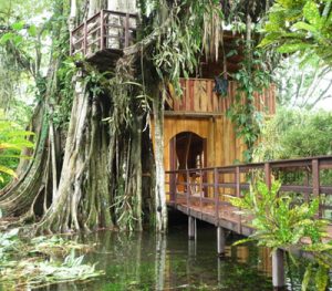 Reisroutes Costa Rica: start hier - Under the Trees